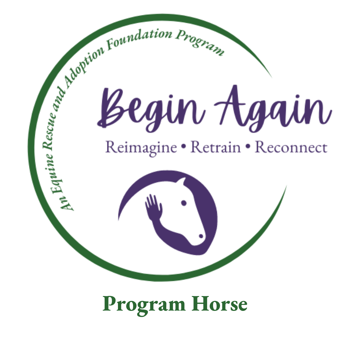 Macho (Macho Blue) - ERAF Horse Rescue Horse Adoption Florida