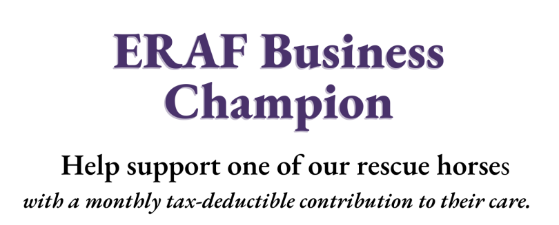 Business Champions Club - ERAF Horse Rescue Horse Adoption Florida