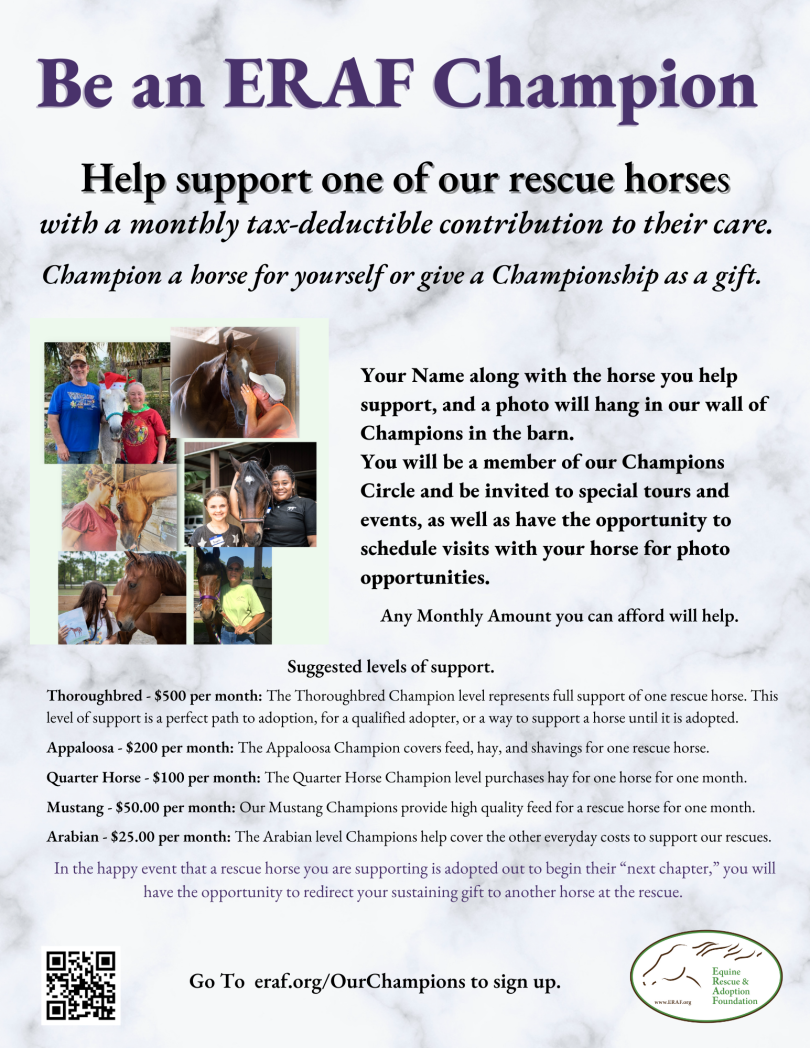 Champions - ERAF Horse Rescue Horse Adoption Florida