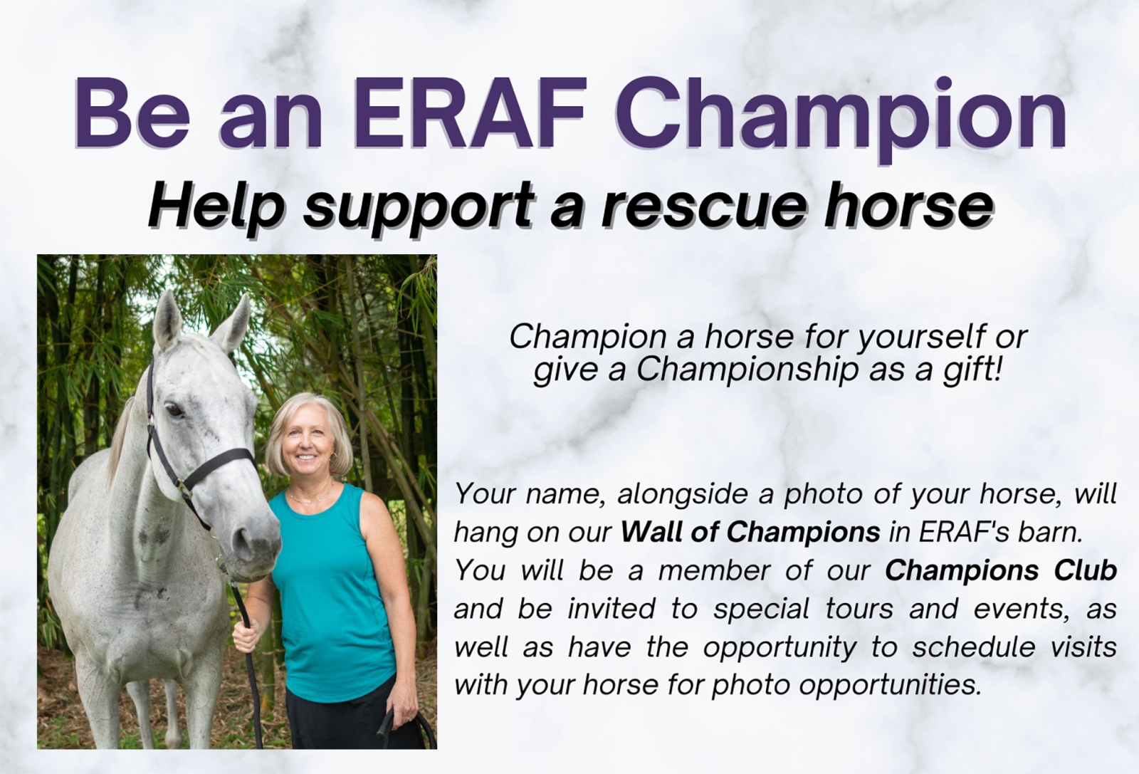 Champions Club - ERAF Horse Rescue Horse Adoption Florida