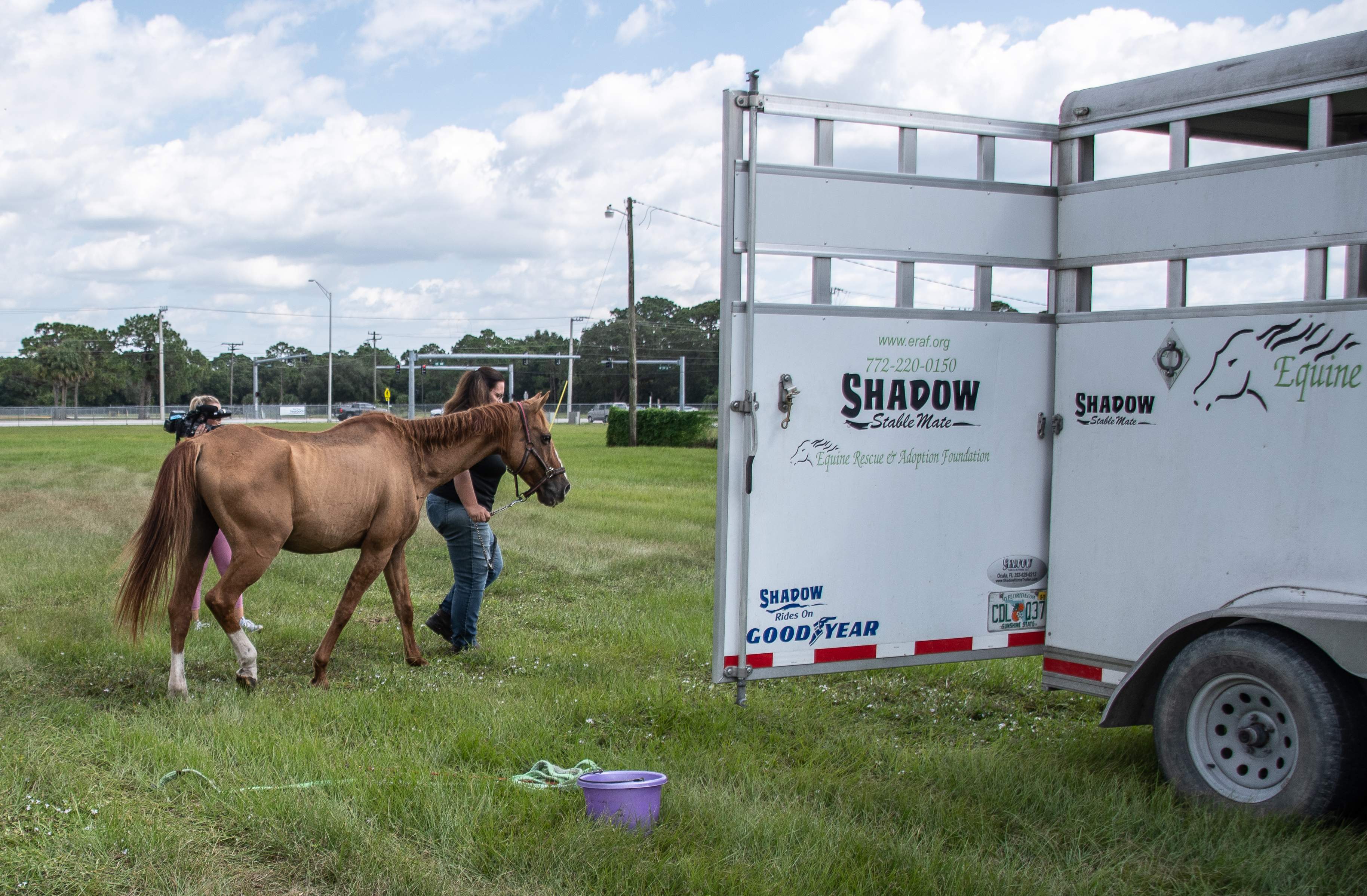 Our Mission - ERAF Horse Rescue Horse Adoption Florida
