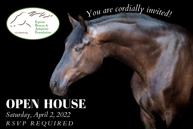 2022 Open House RSVP - ERAF Horse Rescue Horse Adoption Florida