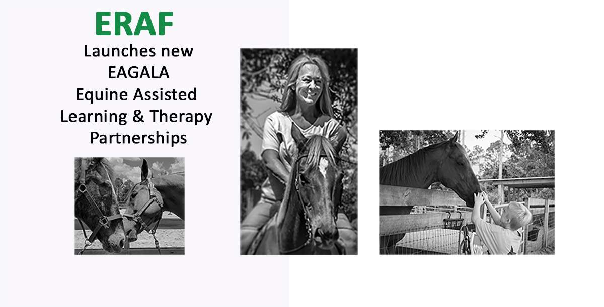 ERAF's Partners for Equine Assisted Learning - ERAF Horse Rescue Horse ...