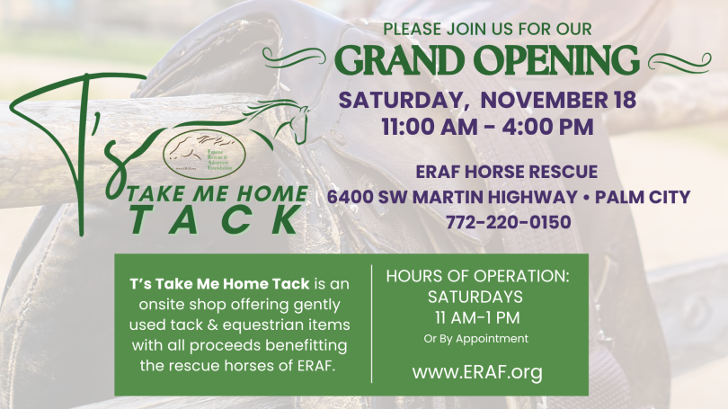 Equine Rescue & Adoption Foundation Home